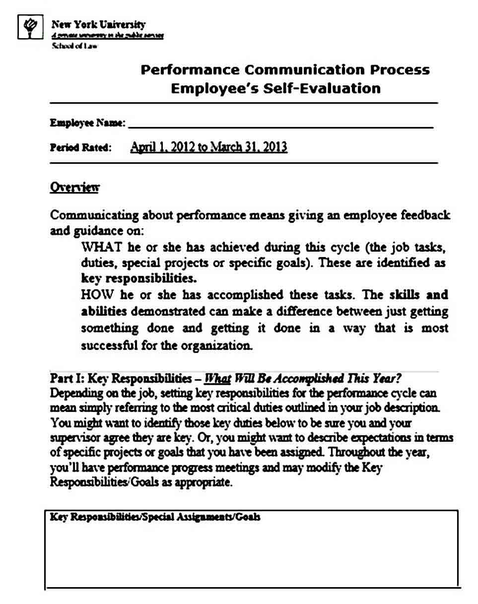 Self Performance Review Example Mous Syusa
