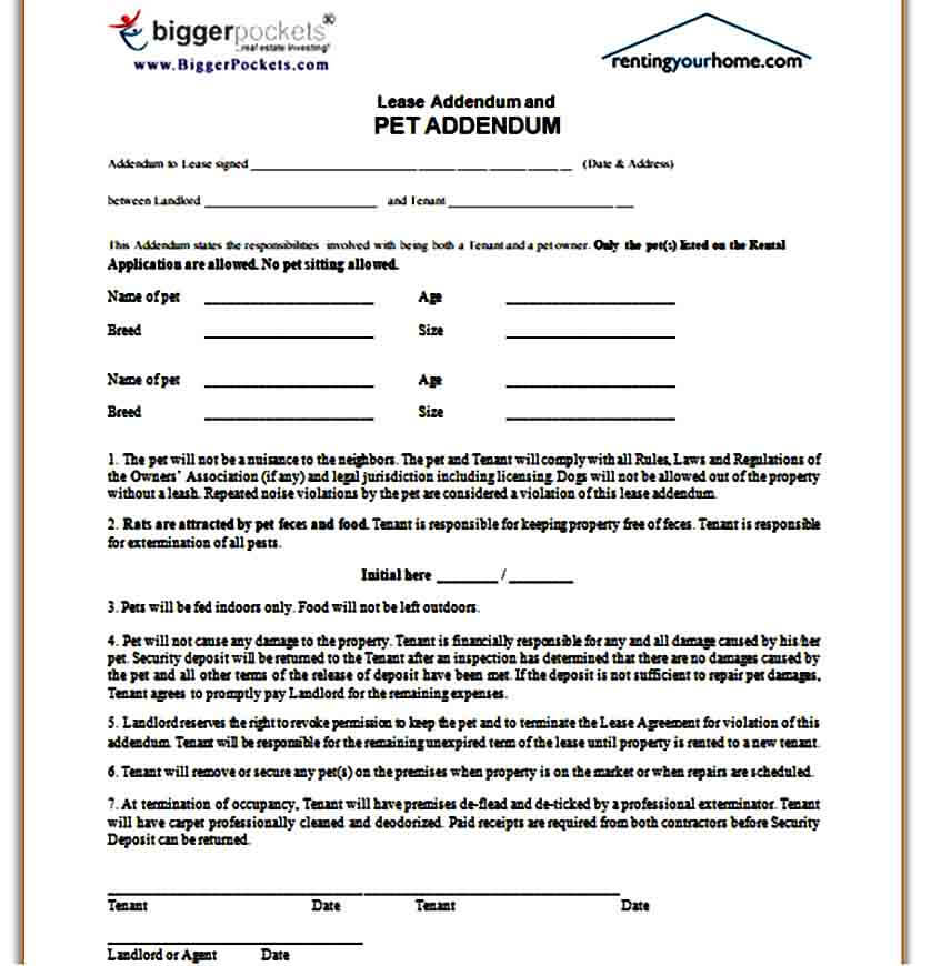 Sample Lease Addendum Form Mous Syusa