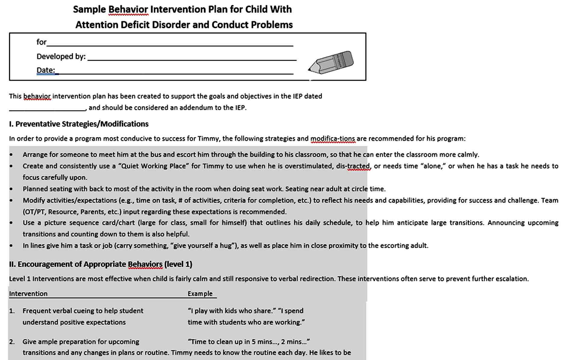 Behavior Plan Template Mous Syusa