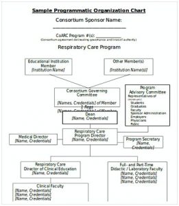 45+ Free Organizational Chart Template In All File Formats | Mous Syusa