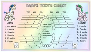 12+ Free Download Best Printable Teeth Chart for Your Baby | Mous Syusa
