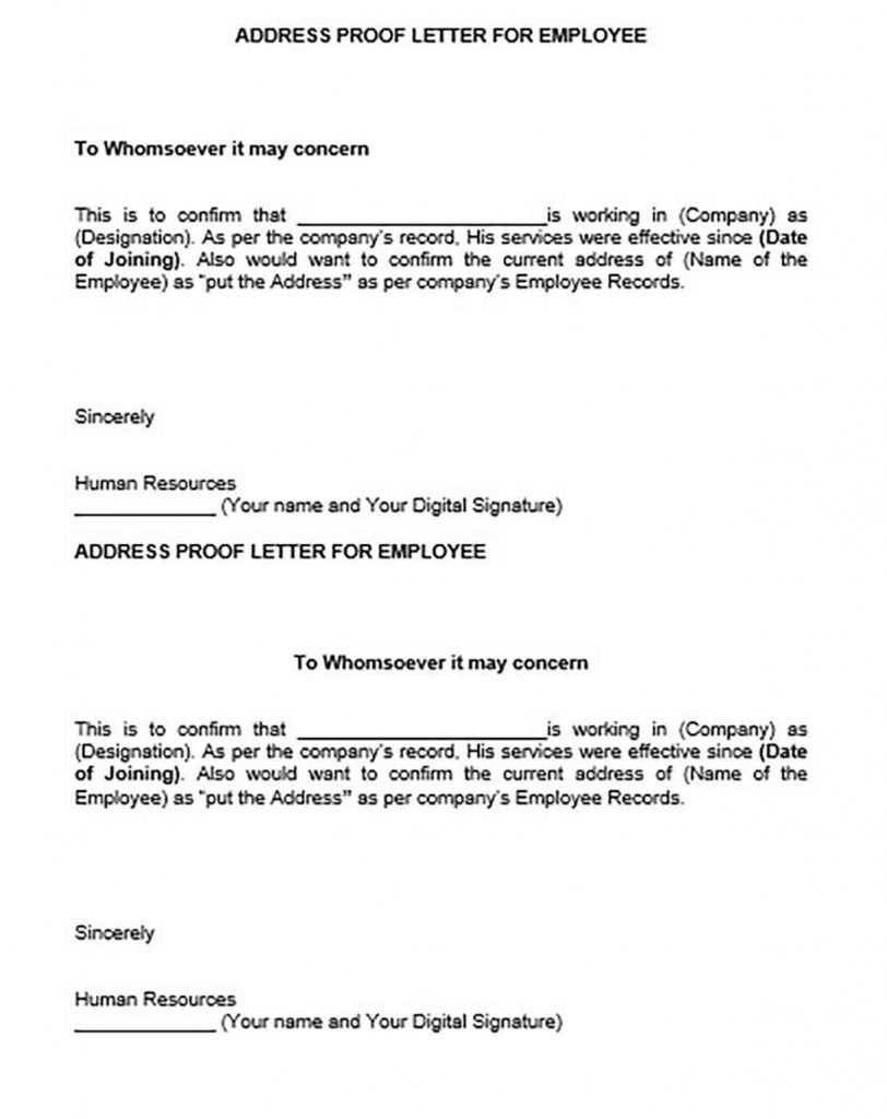 Three Main Needs of the Employee Verification Letter You All Need to ...