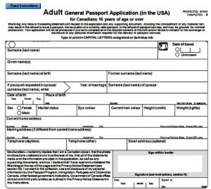 Template Basic Application Form | Mous Syusa
