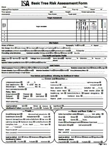 Assessment Form in PDF Sample | Mous Syusa