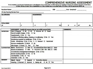 Assessment Form in PDF Sample | Mous Syusa