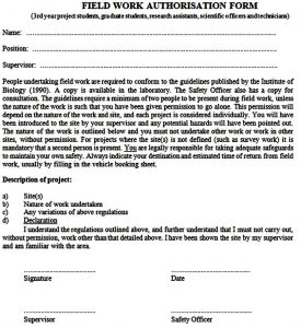 Sample Work Authorization Form | Mous Syusa