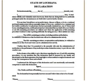 Simple Will Form Sample | Mous Syusa