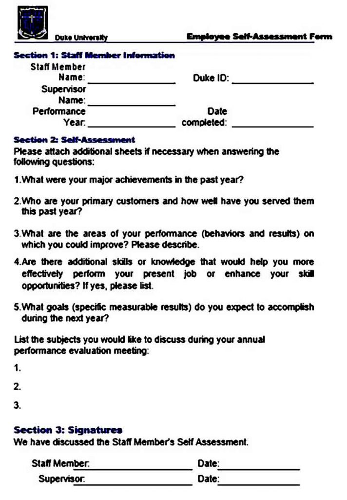 Employee Self-Evaluation Sample | Mous Syusa
