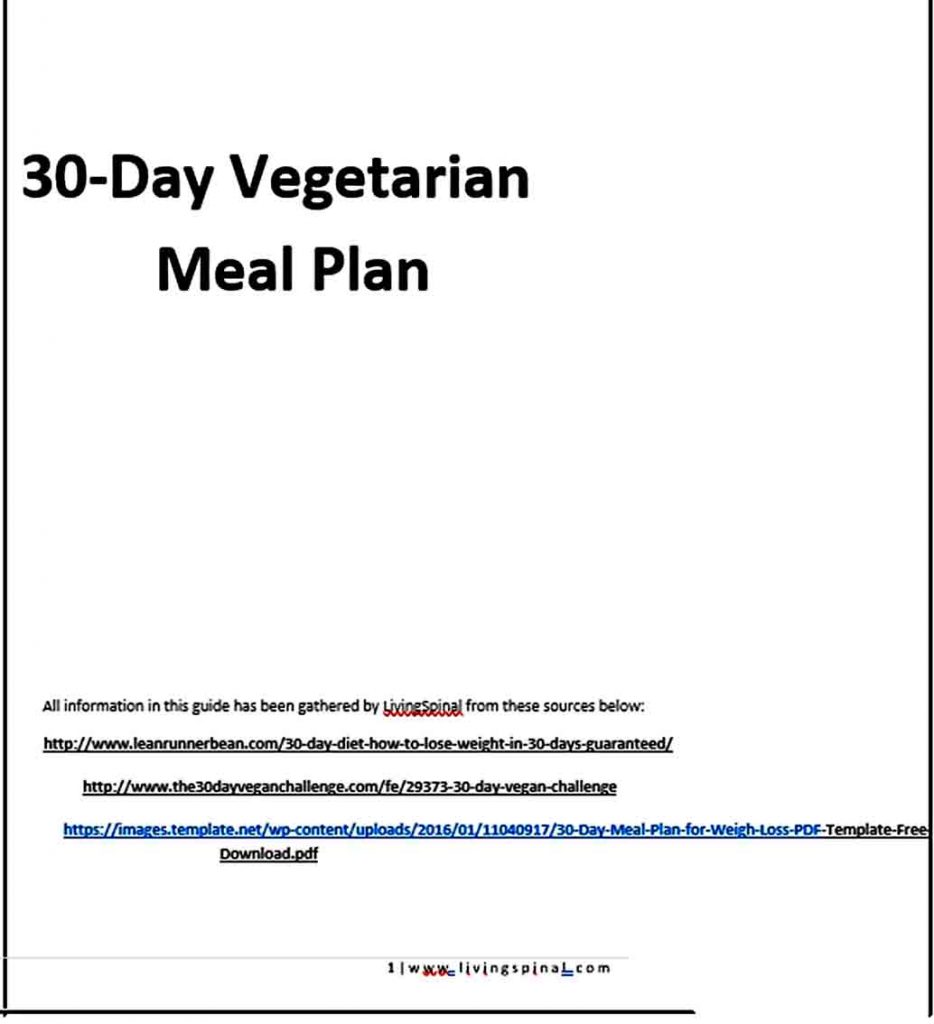 30 Day Diet Meal Plan Template | Mous Syusa
