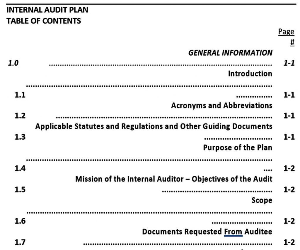 Audit Plan Template | Mous Syusa