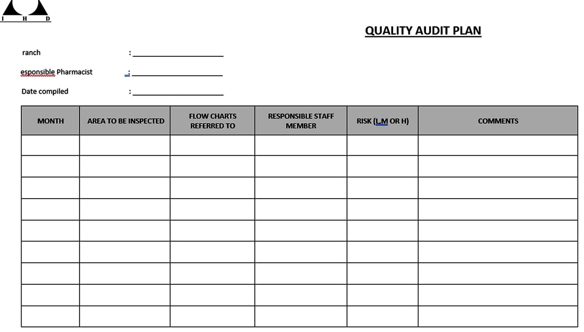 Audit Plan Template | Mous Syusa