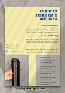 3+ Product Data Sheet template example | Mous Syusa